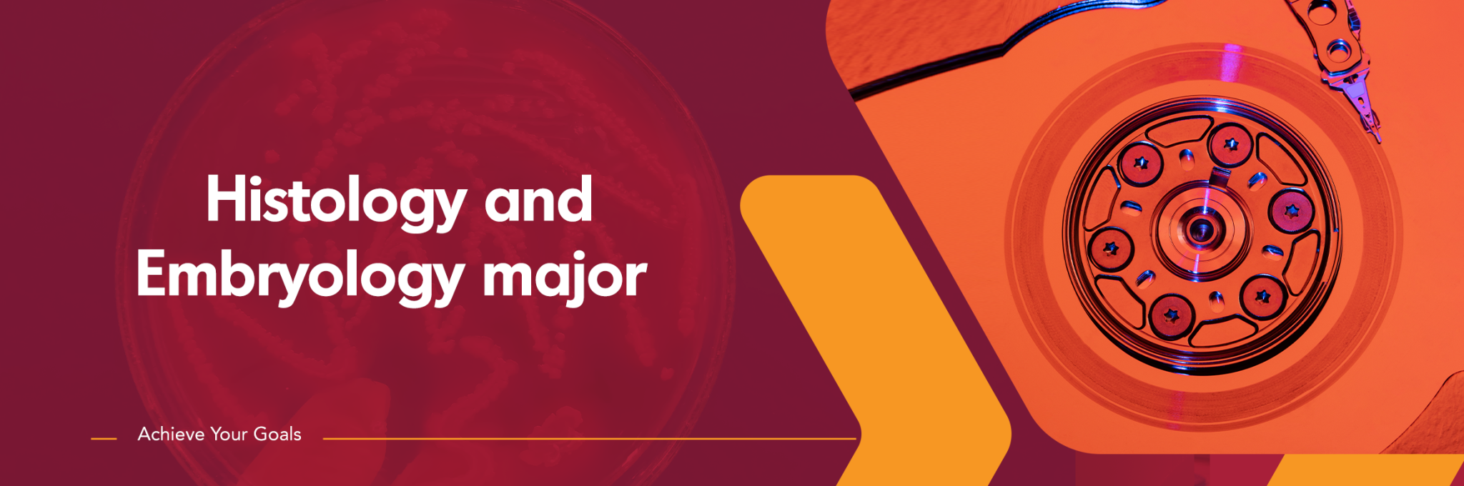 studying histology and embryology major in turkey