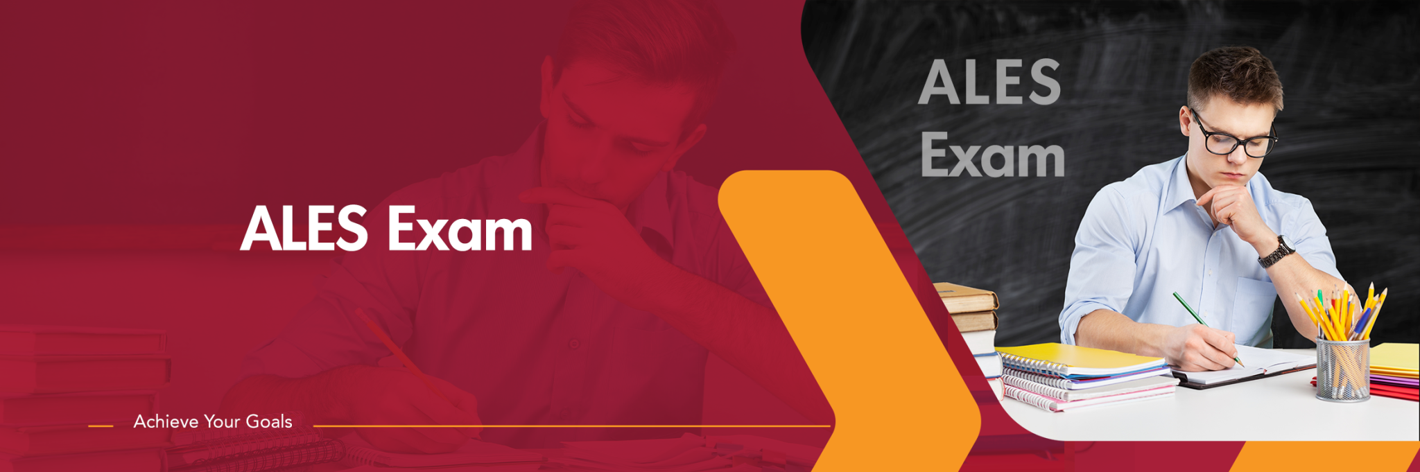 learn more information about ALES Exam in turkey